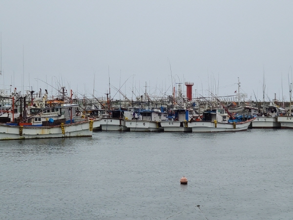 제주시, 해양수산 안전·정주여건 개선 198사업에 566억 투자