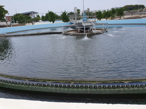 제주 하수처리시설, 악취 절반·수질 10배 개선…친환경 시설로 변신